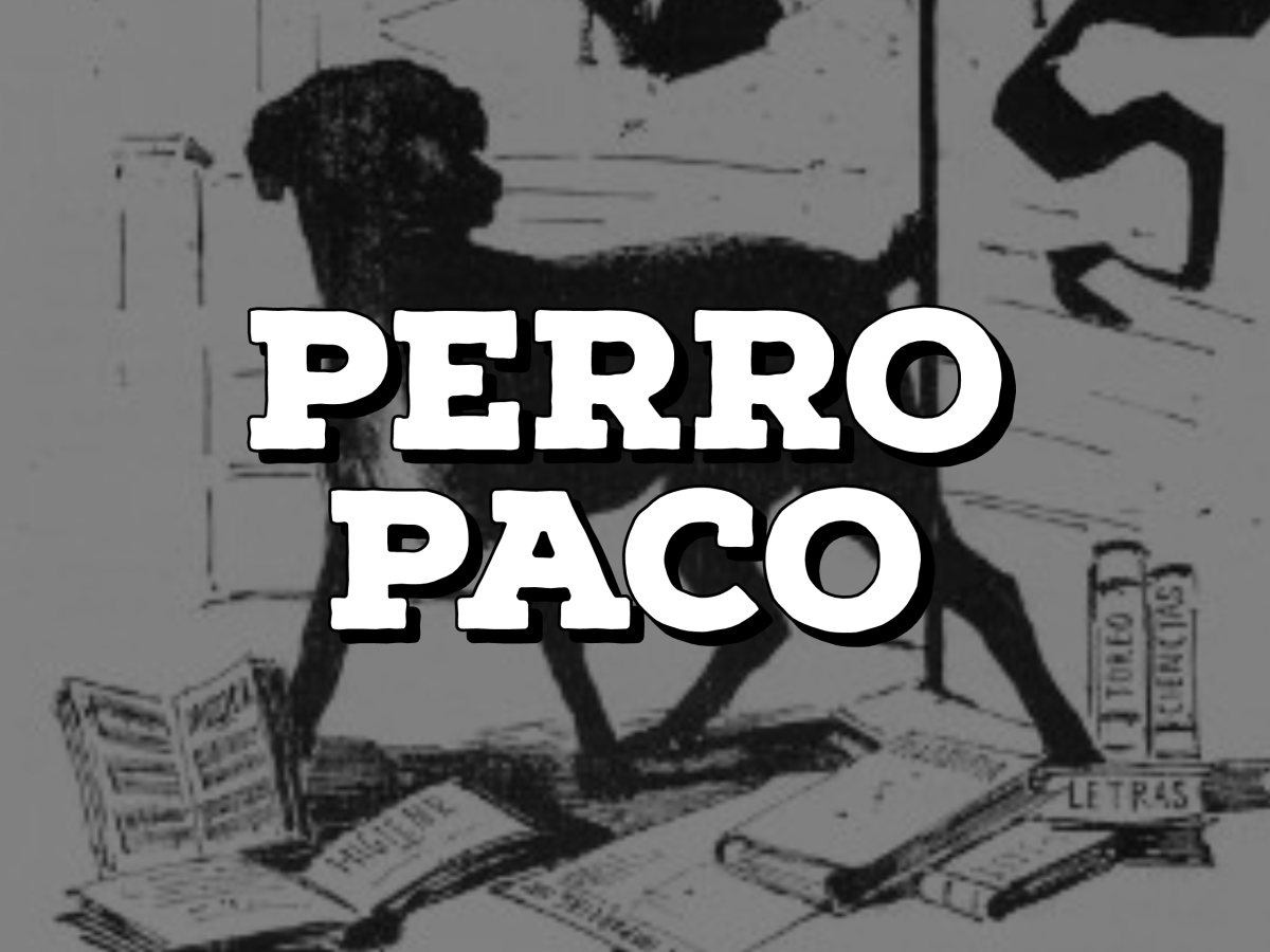 La historia del perro Paco, el madrileño más famoso del siglo XIX ...