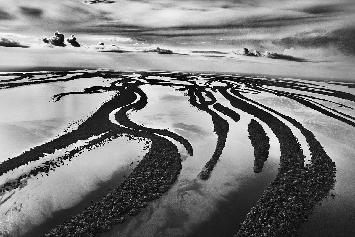 Exposición – Amazônia. Sebastião Salgado – Gato por Madrid