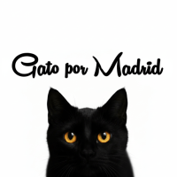 Ramón María del Valle-Inclán – Gato por Madrid